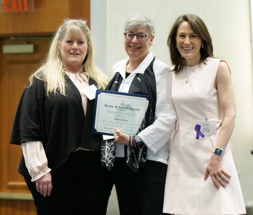 First 100 Plus :: Connecticut Coalition Against Domestic Violence